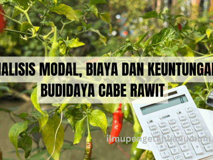 Cara Menanam Cabe Rawit di Rumah: Panduan Lengkap untuk Pemula - Ilmu Pengetahuan Umum