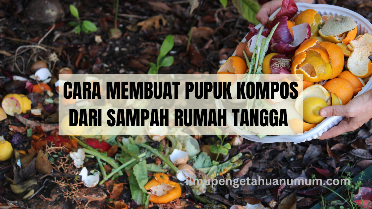Cara Membuat Pupuk Kompos dari Sampah Rumah Tangga - Ilmu Pengetahuan Umum